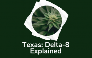 Delta-8 in Texas Explained - Texas NORML